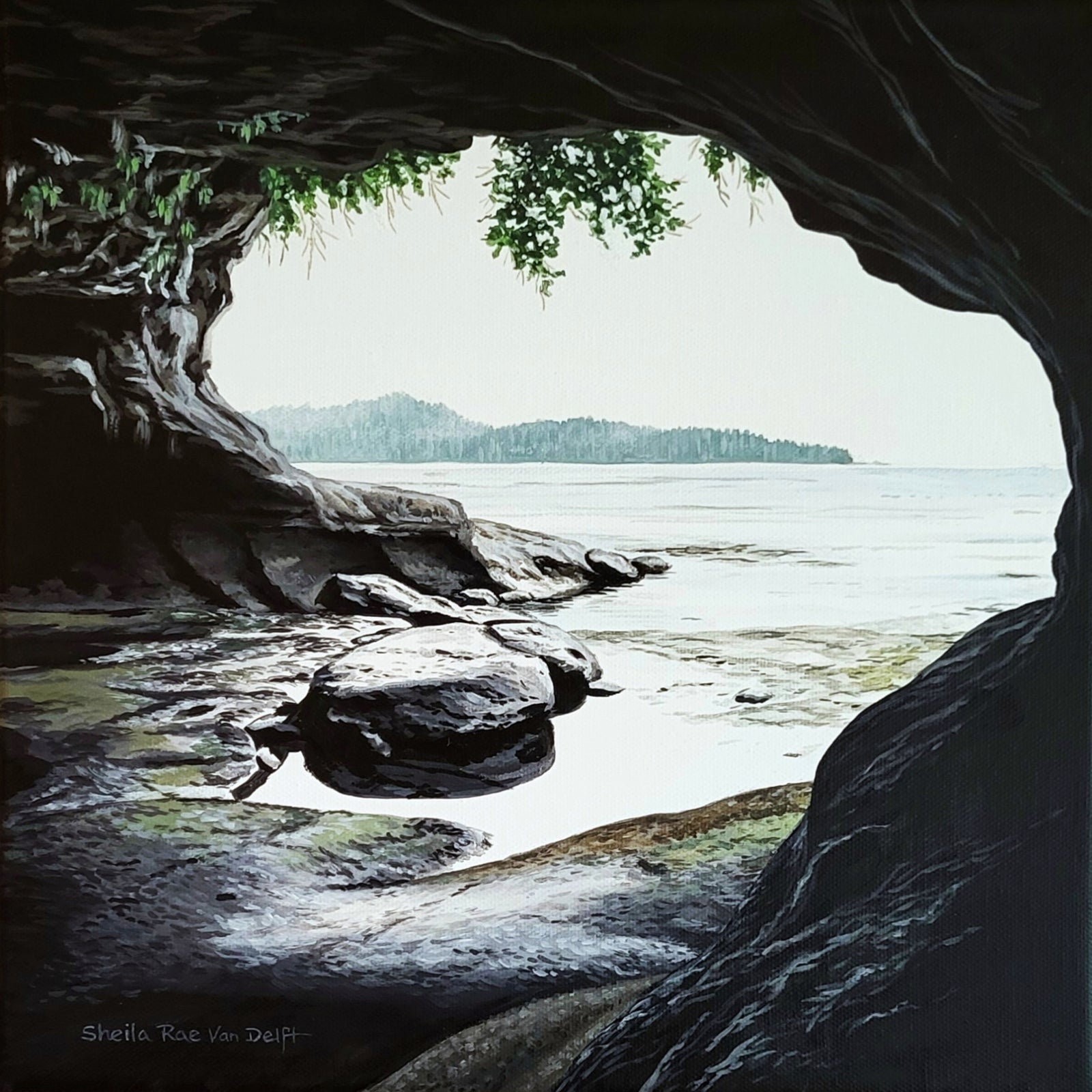 Sheila Rae Van Delft - Through the Hollow - Acrylic on canvas – Square ...